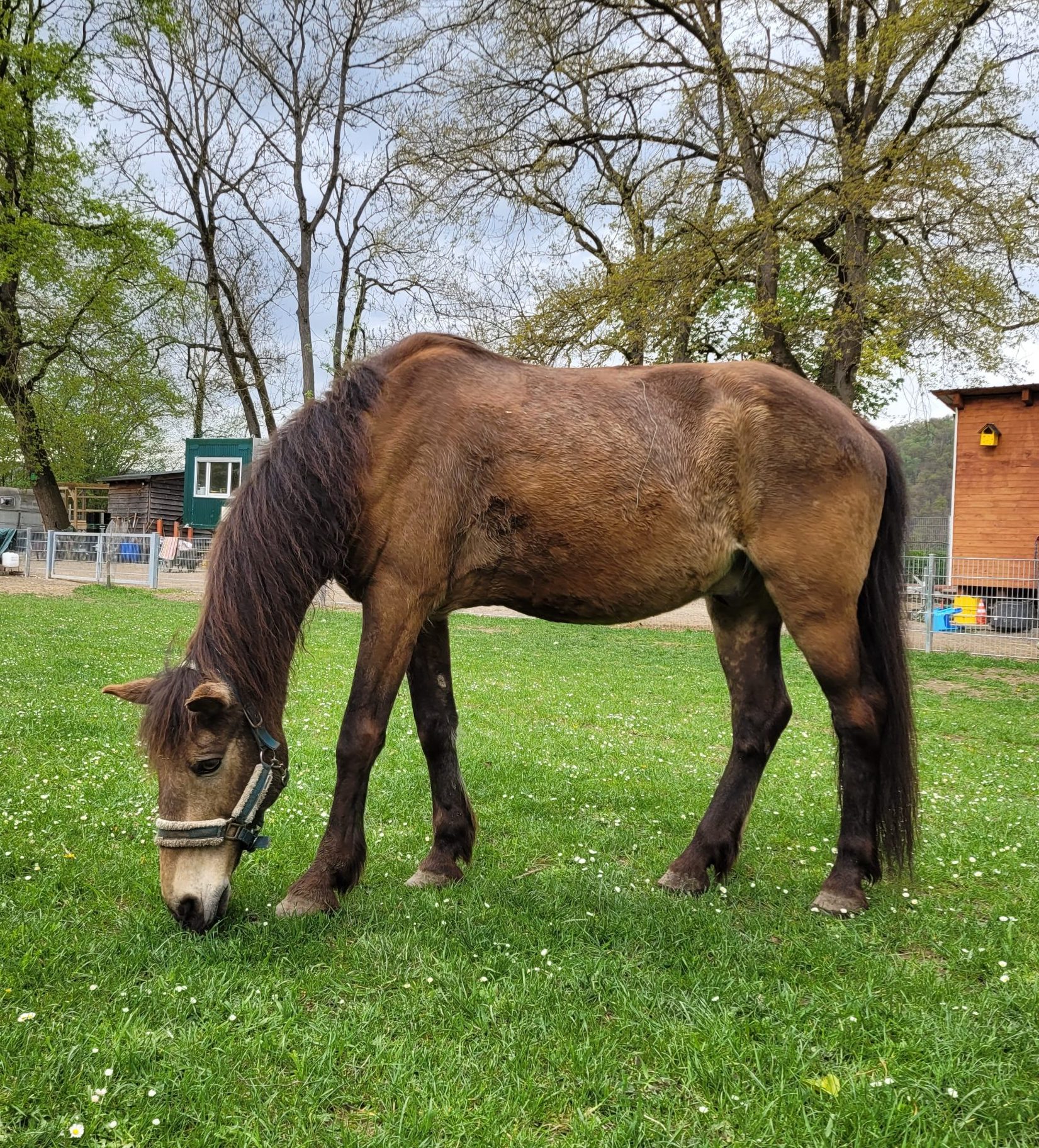 Jack - Tier- und Naturfreunde Schwanenteich e.V.